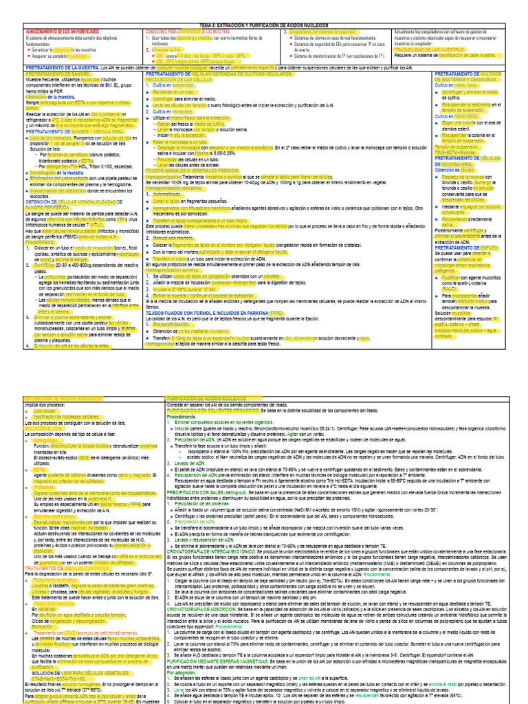 Tema 3 - 240601 - 231046 | PDF | Proteínas | Messenger Rna