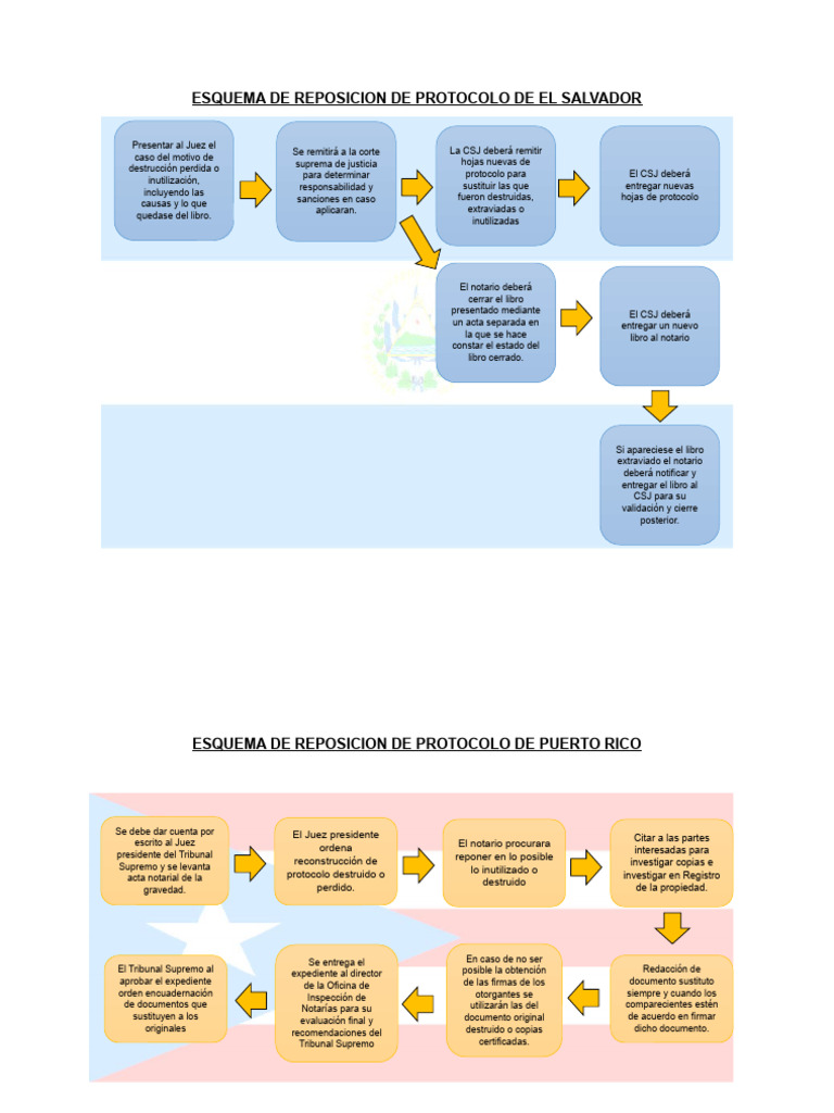 Esquema de Reposicion de Protocolo de El Salvador y Puerto Rico | PDF | Justicia | Crimen y ...