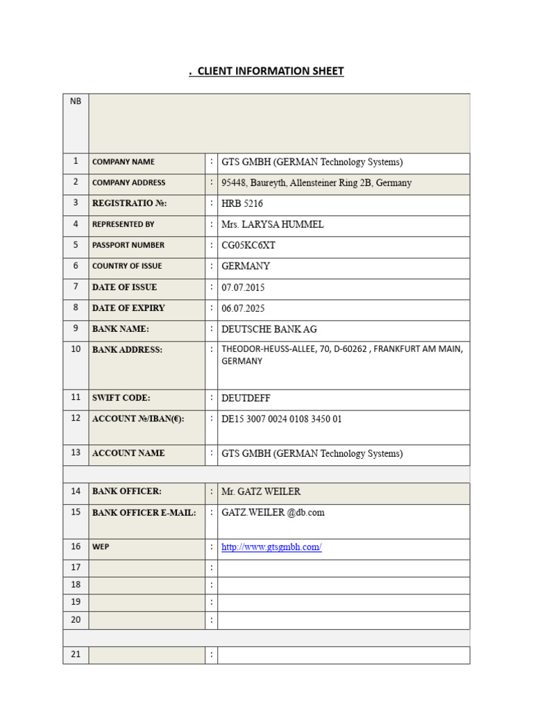 CIS Blank For Client | PDF