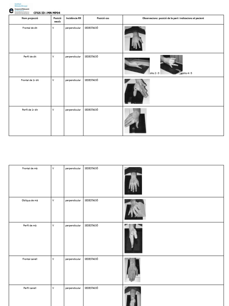 Graella Projeccions | PDF