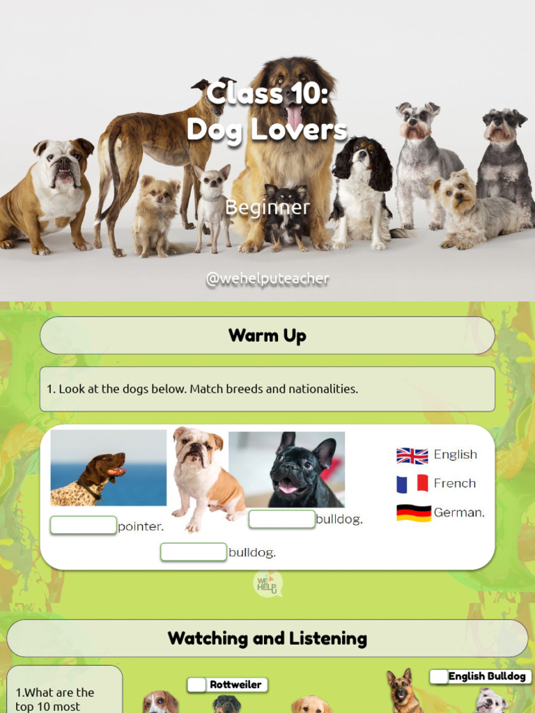 Dog Lovers | PDF | Adjective | Noun