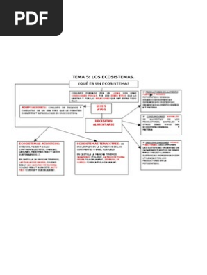 Hoja De Trabajo Con Mapa Conceptual De Ecosistemas Los Ecosistemas