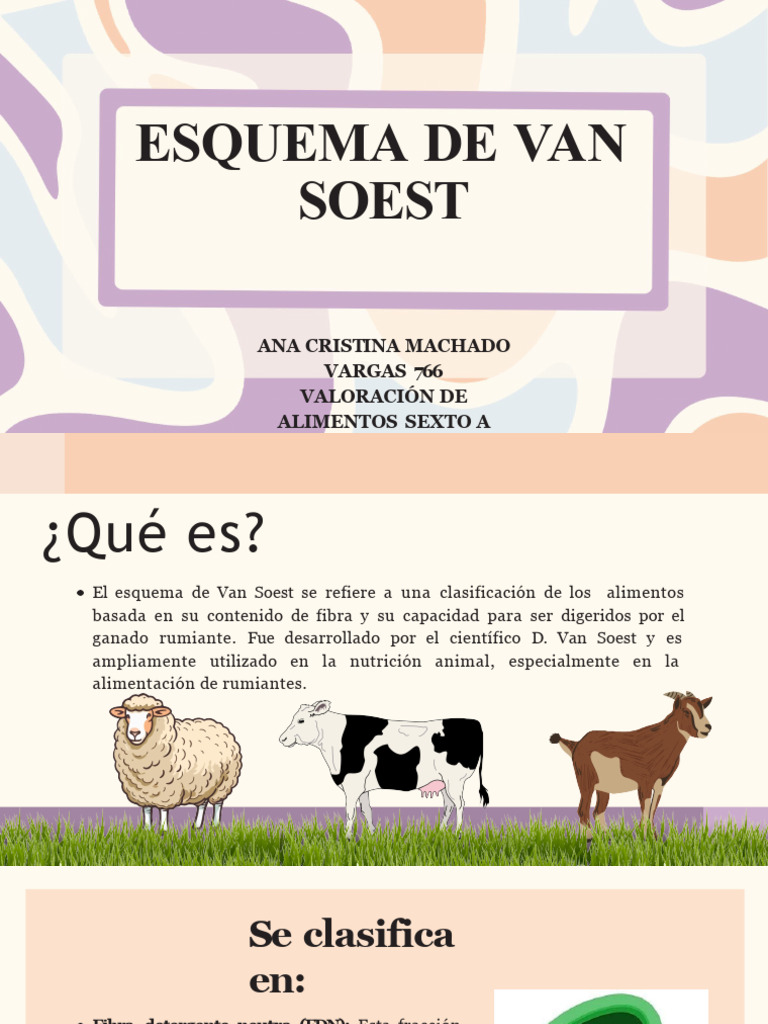 Van Soest | PDF | Fibra dietética | Dieta y nutrición