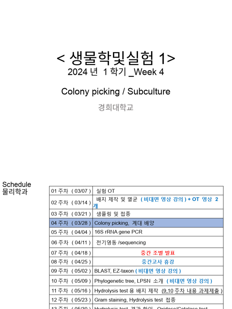 Week4 Colony Picking 물리 구범진 | PDF