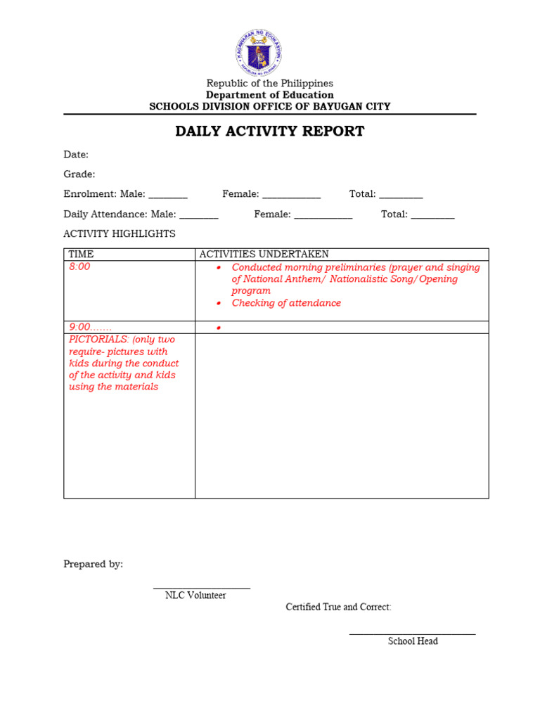 Daily Activity Report | PDF