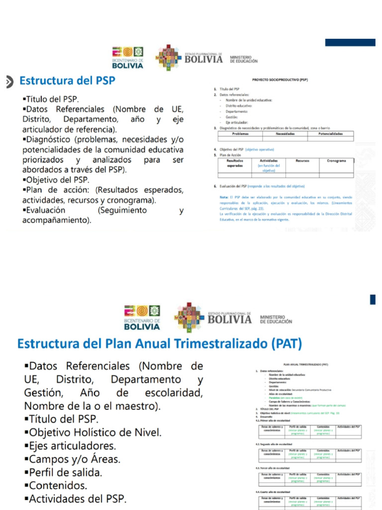 ESTRUCTURA PSP, PAT y PDC 2024 | PDF