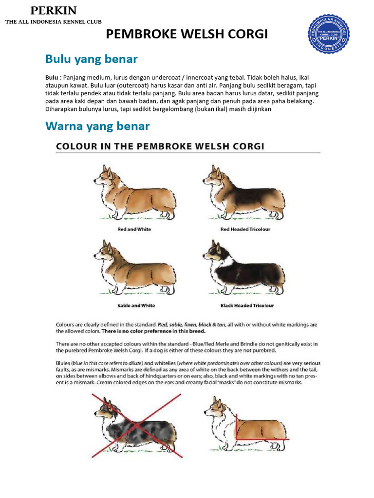 Welsh Corgi Pembroke | PDF