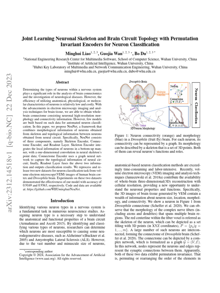 Joint Learning Neuronal Skeleton and Brain Circuit Topology With Permutation Invariant Encoders ...