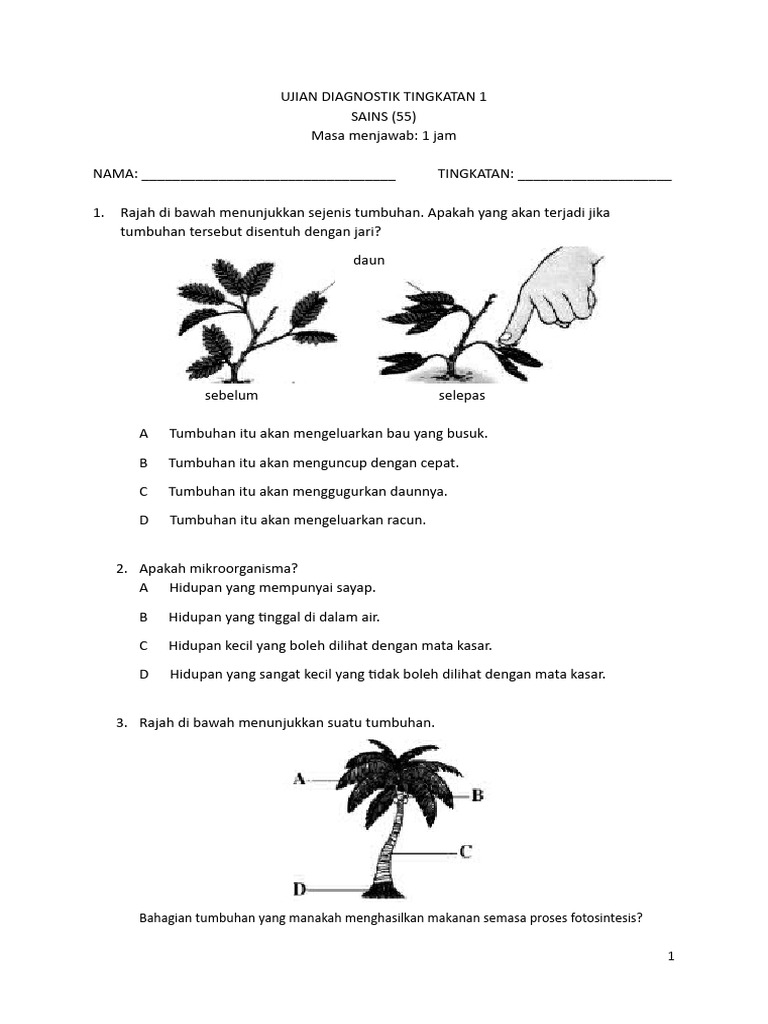 Ujian Diagnostik Tingkatan 1 | PDF
