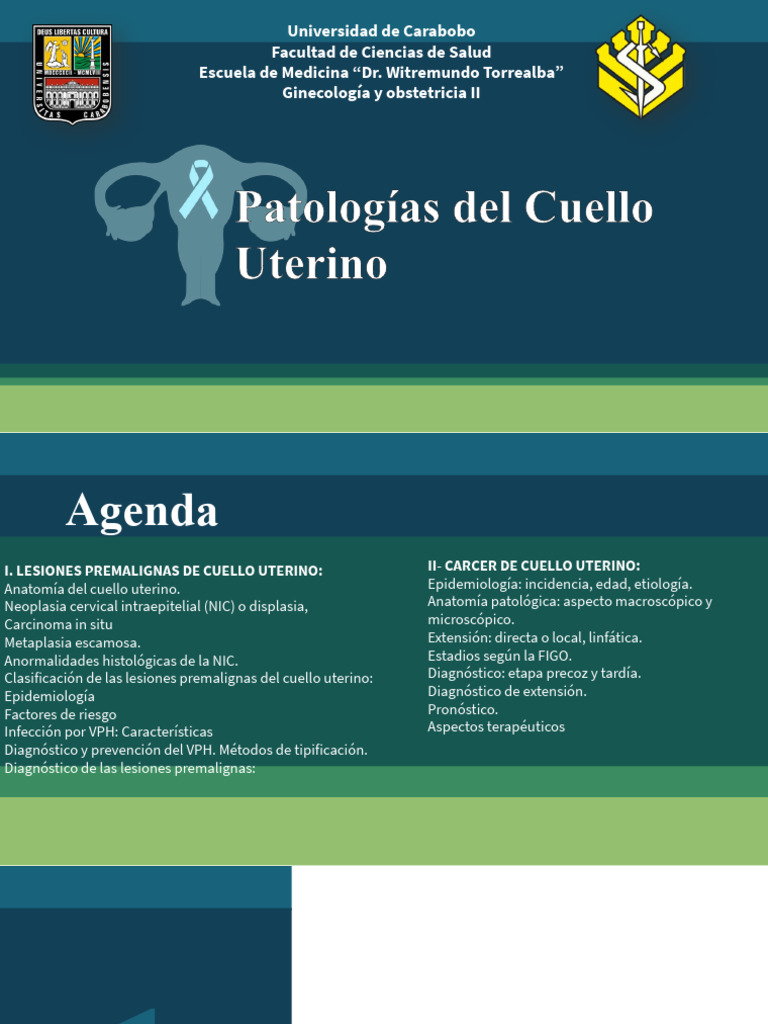 Patologias Del Cuello Uterino | PDF | Cáncer de cuello uterino | Especialidades Medicas