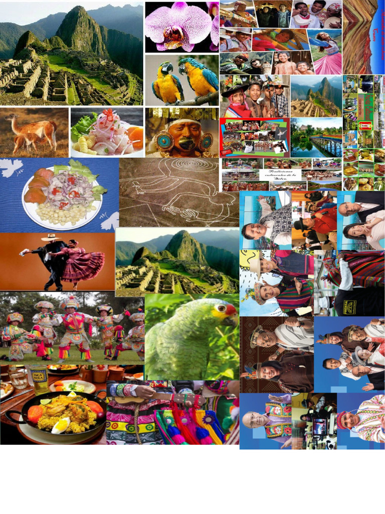 Diversidad Peru | PDF