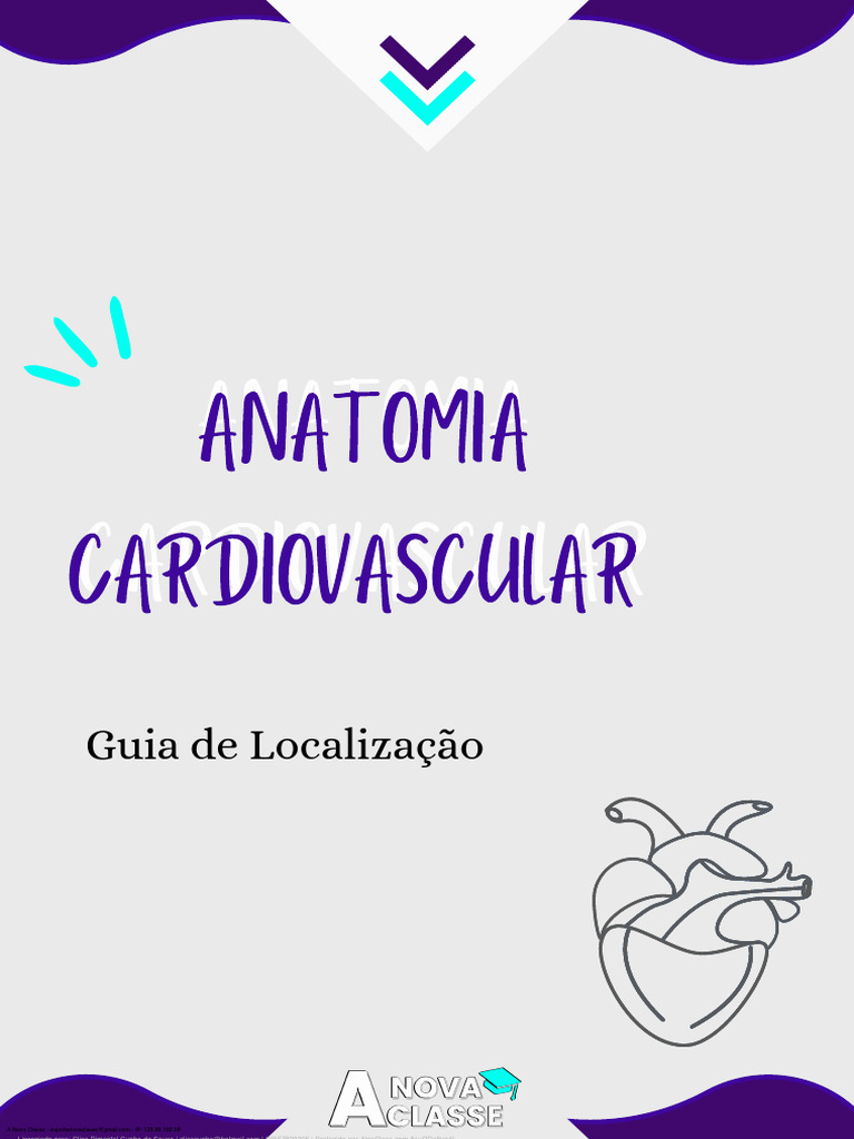 Guia Completo de Anatomia Cardiovascular | PDF | Coração | Sistema ...