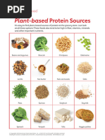 Plant-Based Protein Sources Handout (1) - 1737209874533 | PDF