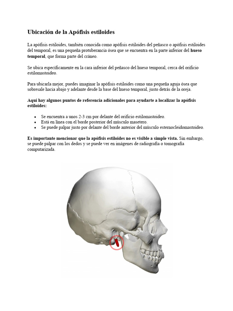 Apófisis Estiloides Tarea Joel García | PDF | Mamografía | Pecho