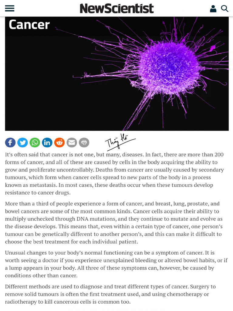 Cancer | PDF