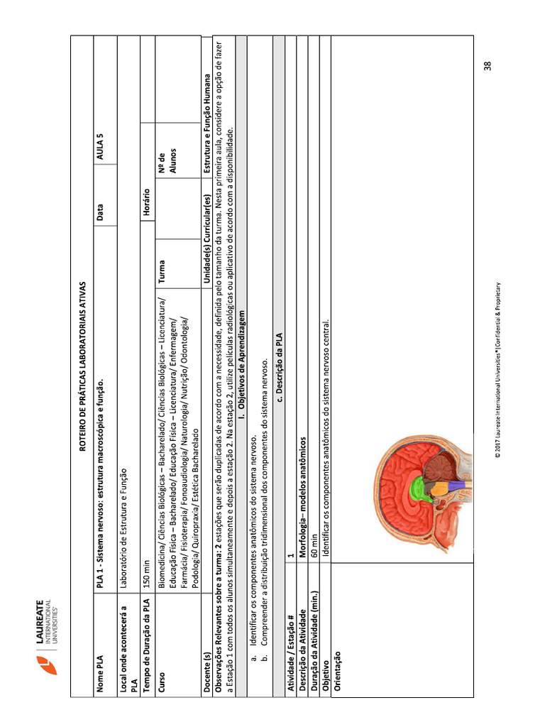 PLA1 - Sistema Nervoso | PDF