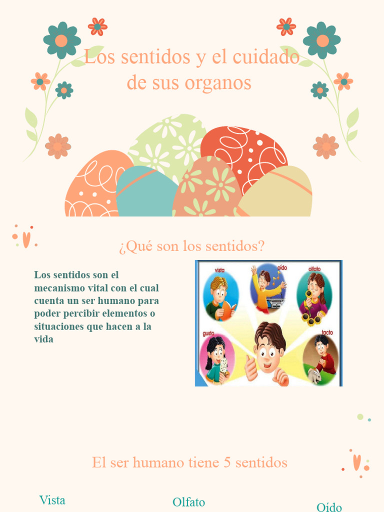 Los 5 Sentidos | PDF | Sentidos | Neurociencia
