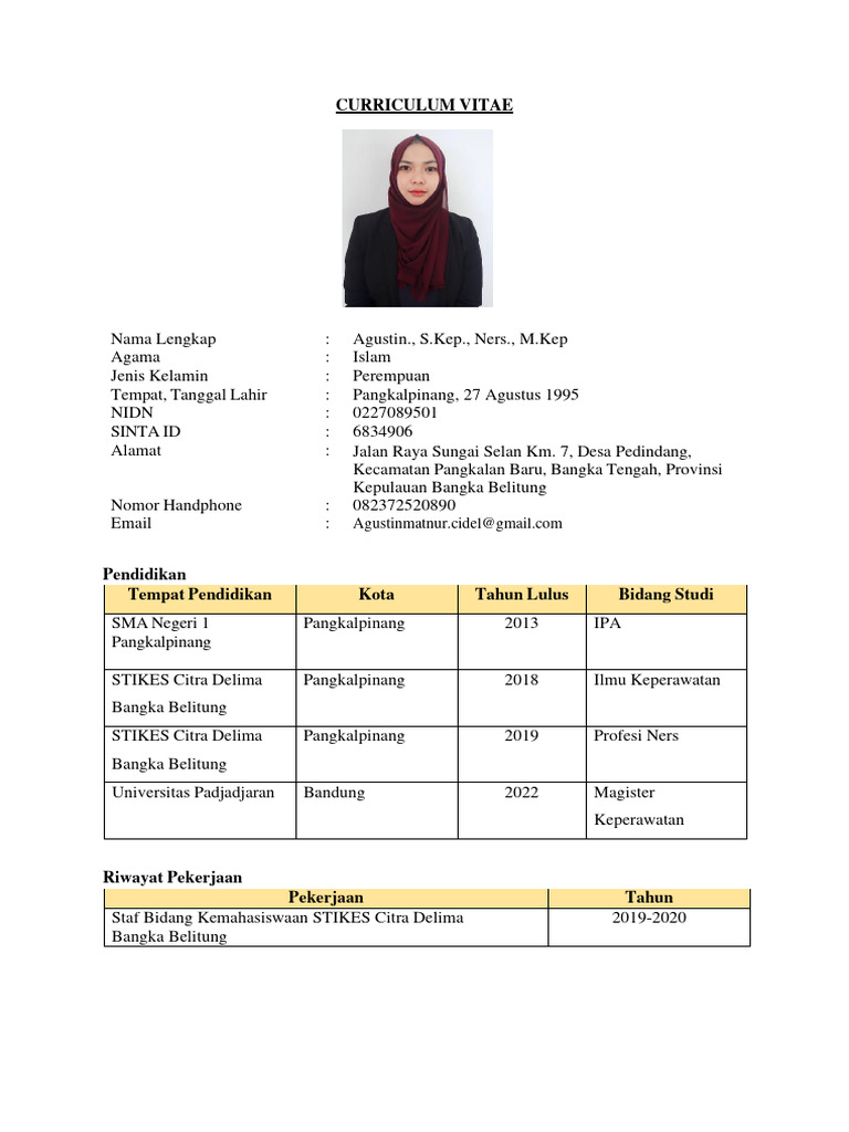 CV Agustin 2024 | PDF