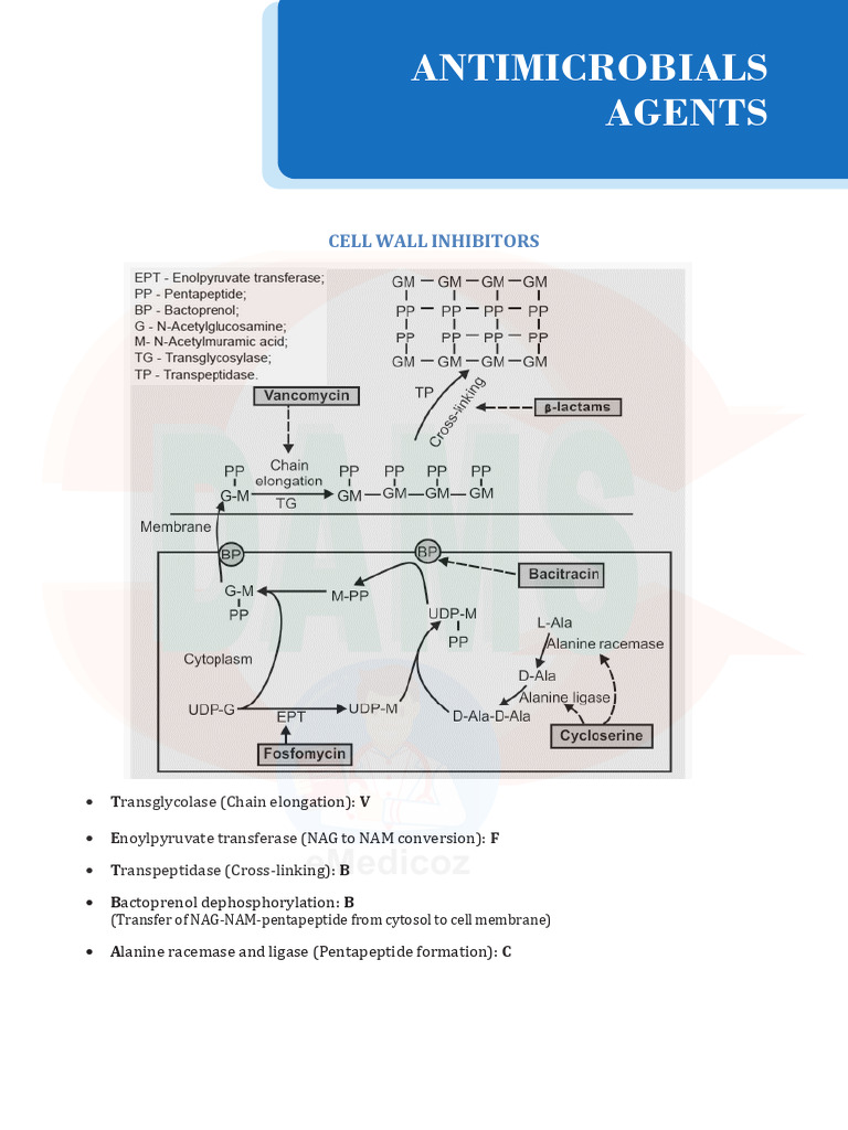 Antimicrobials Mdms Pharmacology Workbook 2024-1 | PDF | Penicillin ...