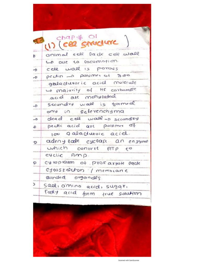 Chapter 3 Cell Structure-1 | PDF