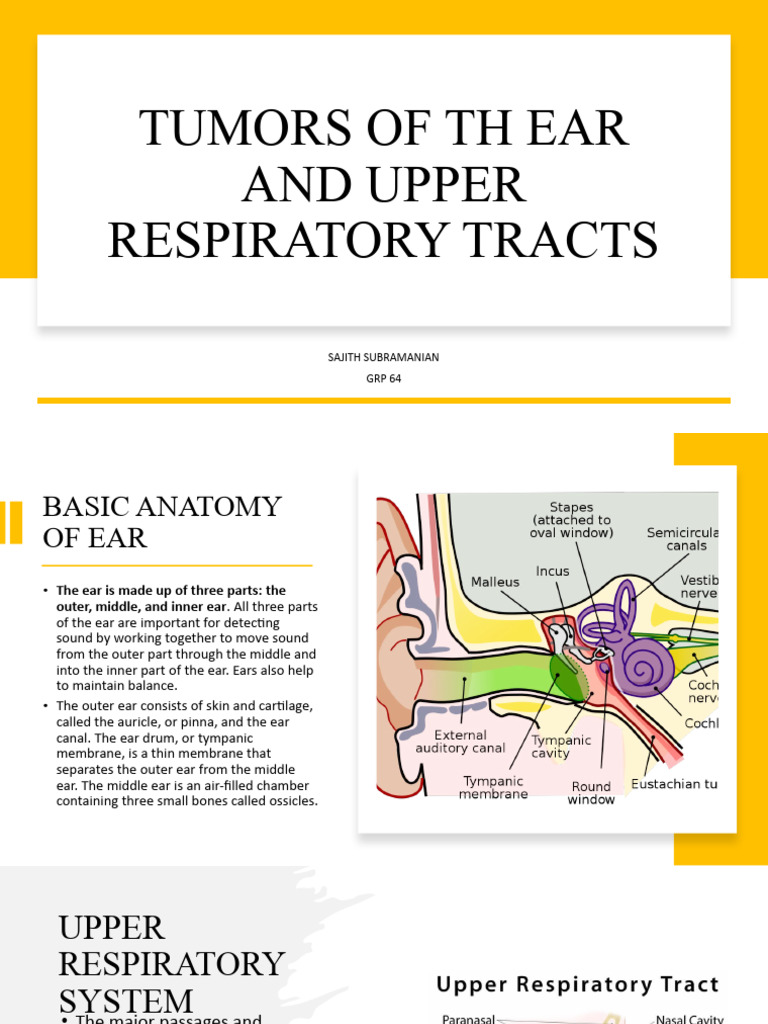 Presentation 9 | PDF | Ear | Benign Tumor