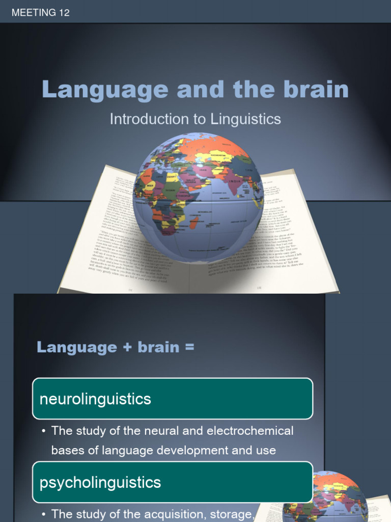 Meeting 12 Intro To Linguistics - Language and The Brain | PDF | Lateralization Of Brain ...