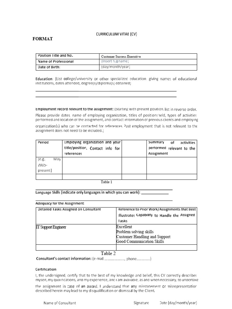 CV Format | PDF