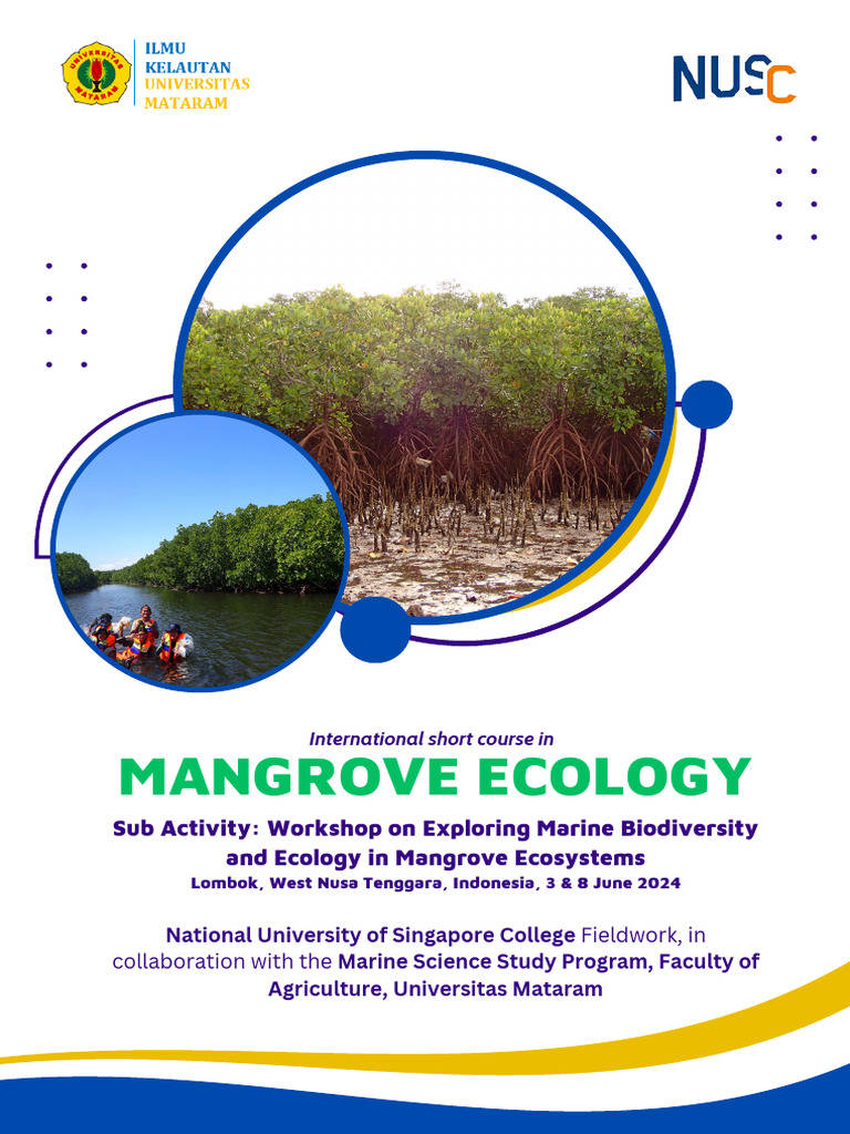Booklet Field Work With NUS | PDF | Mangrove | Trees