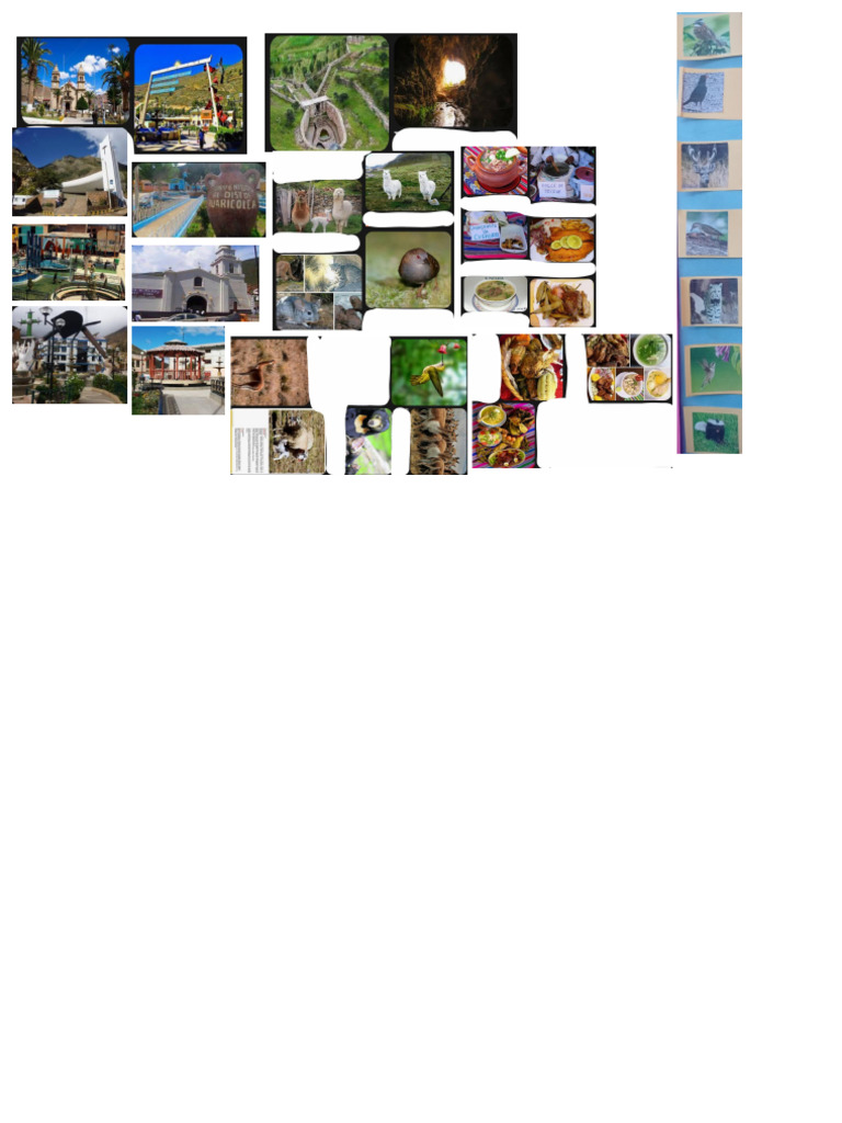 DPCC Imágenes | PDF