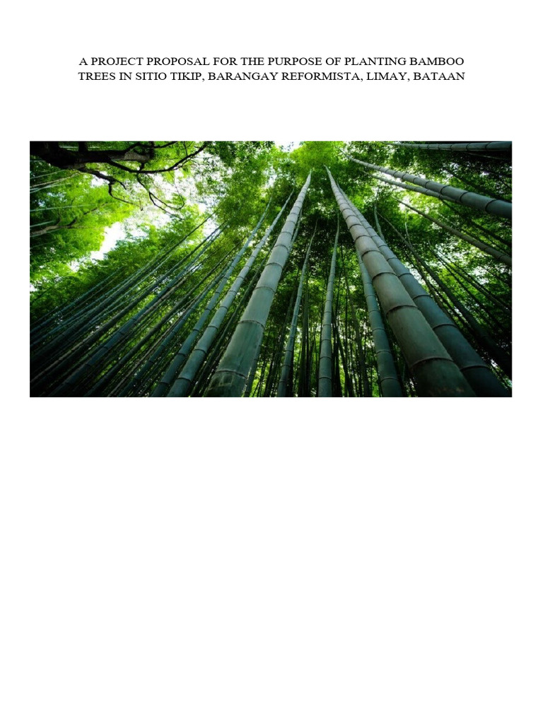 Proposal Bamboo Planting | PDF | Air Pollution | Bamboo