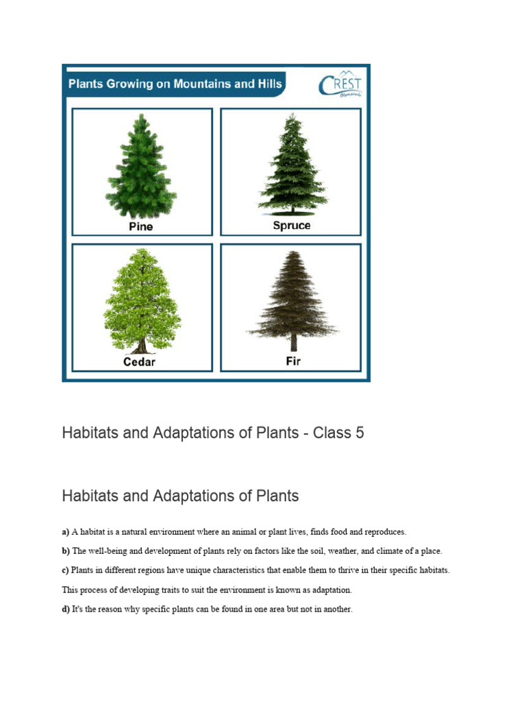 Habitats and Adaptations of Plants | PDF | Habitat | Plants