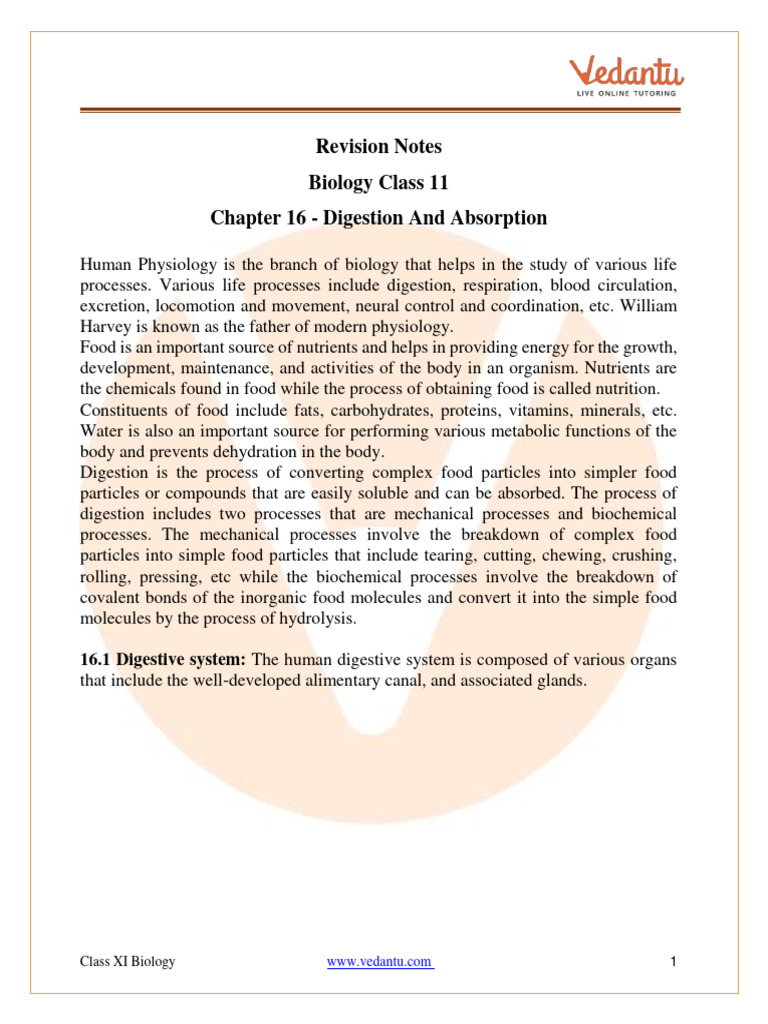 Digestion and Absorption Class 11 Notes CBSE Biology Chapter 16 (PDF ...