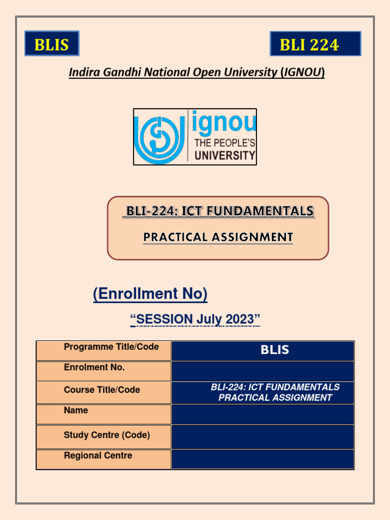 Bli 224 Practical Assignment | PDF | Career & Growth | Art