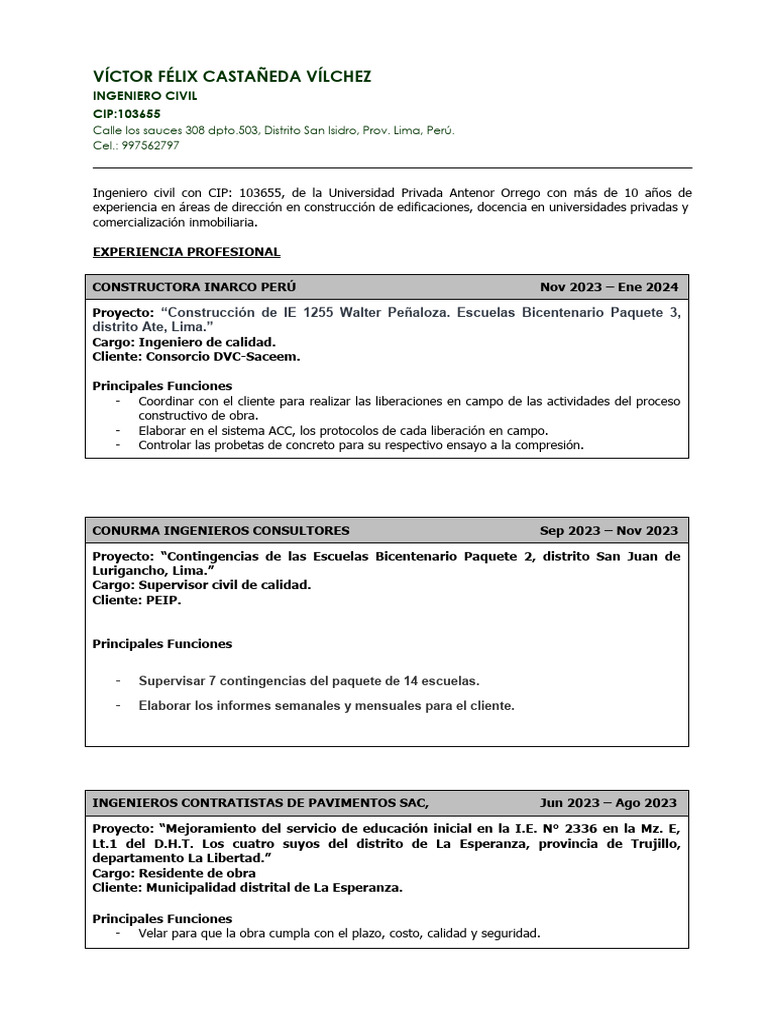 CV Dechini - Modelo | PDF | Lima | Perú