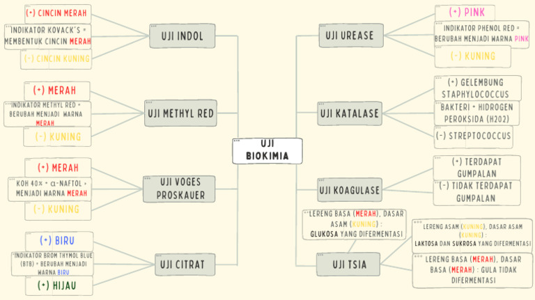 07 - Mind Map Uji Biokimia | PDF