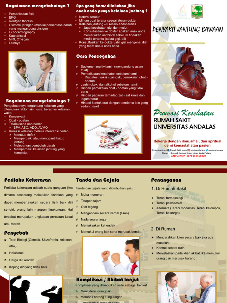 Leaflet Penyakit Jantung | PDF