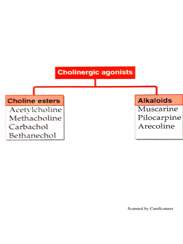 Pharmacology Drug Classification - 1 | PDF