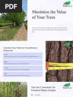 NJUG Publication Volume 1 | PDF | Root | Trees