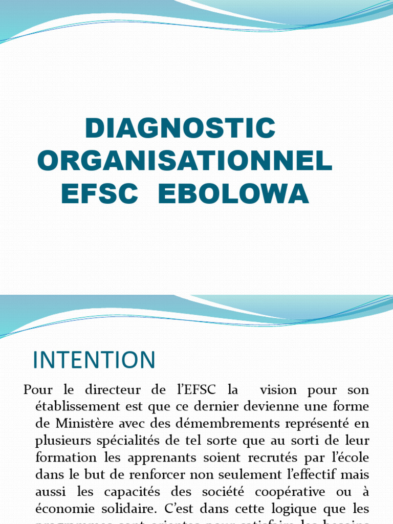 Diagnostic organisationnel de l'EFSC | PDF | Affaires