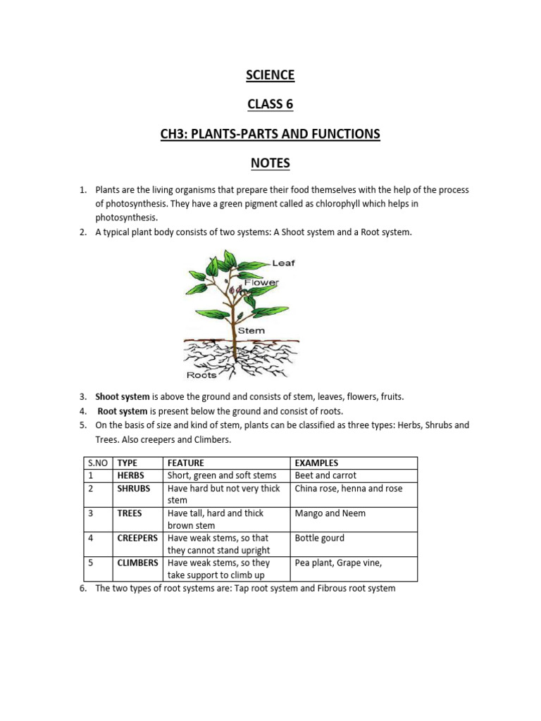 6_sc_PLANT FORM AND FUNCTIONS_notes | Download Free PDF | Leaf | Flowers