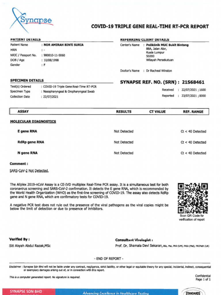 Nur Amirah | PDF