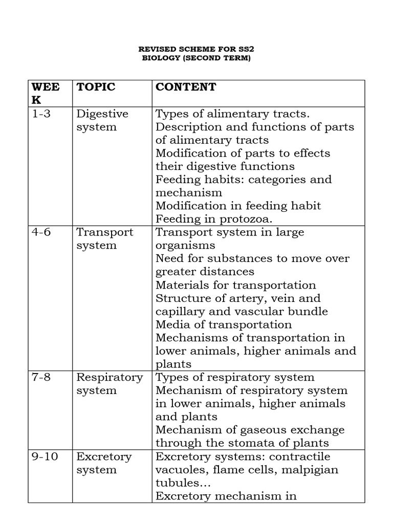 ss2 Second Term Note Edited | PDF | Artery | Digestion