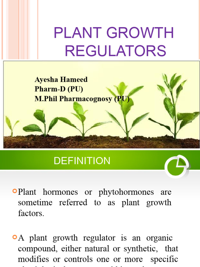 PGRs | Download Free PDF | Plant Hormone | Auxin