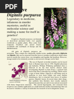 Nucleo CMP Forte Capsules SMPC | PDF | Pharmacokinetics | Axon