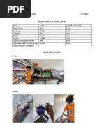 Purple Cabbage Acid-Base Indicator Experiment | PDF | Ph | Acid