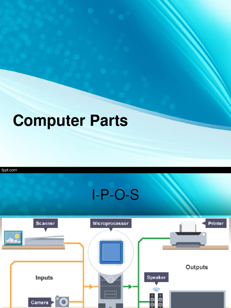 Computer Basics | PDF | Computer Keyboard | Loudspeaker