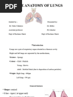 The Radiology Assistant - Lung Segments and Bronchi | PDF | Lung ...