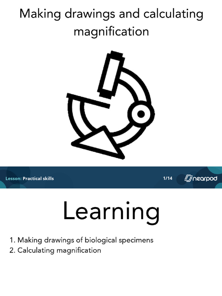 IGCSE Practical Drawing Skills Guide | PDF | Career & Growth | Art