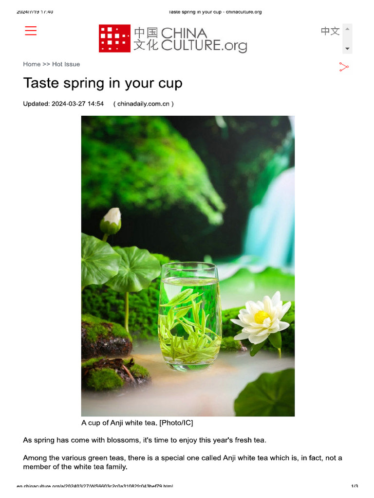 Taste Spring in Your Cup | PDF