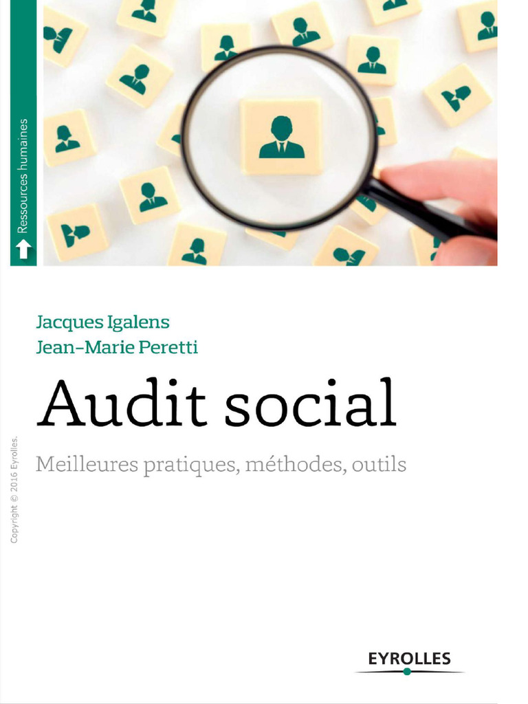 Audit social | PDF